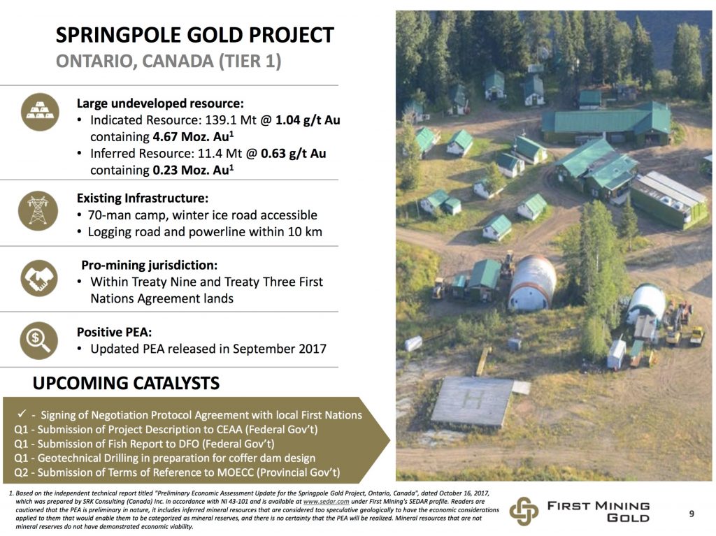 First Mining Gold Corp. | King World News